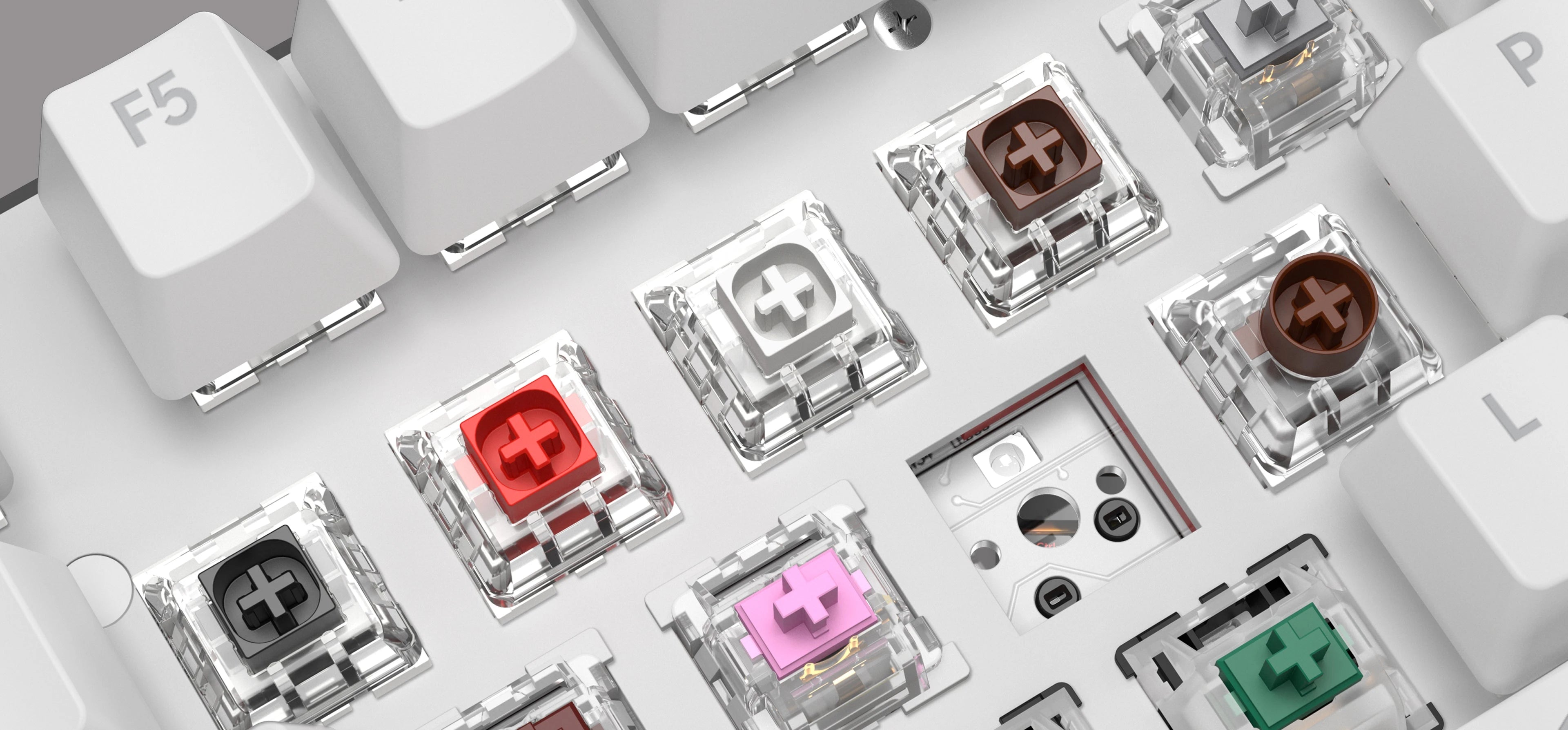 Switches – Pulsar Gaming Gears